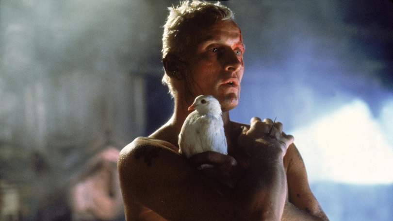 Sessão Retrô: Blade Runner, o Caçador de Andróides (1982) - Boletim Nerd